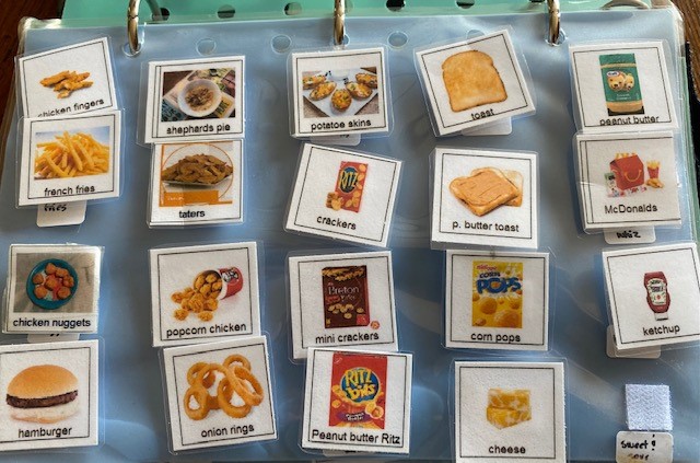 From PECS to Proloque2Go and Everything in Between (Part 1) – More Than ...